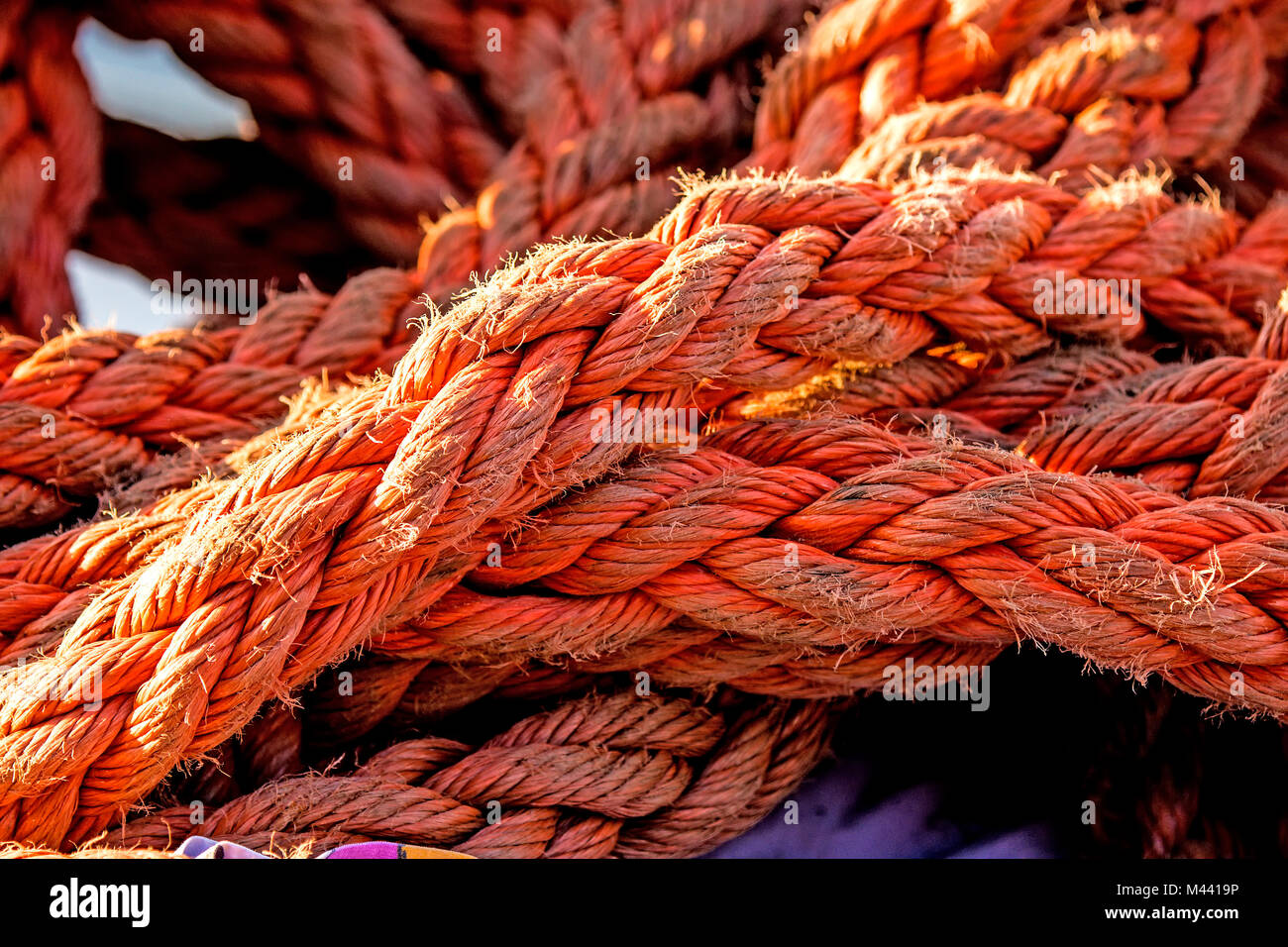thick, braided ship rope Stock Photo - Alamy