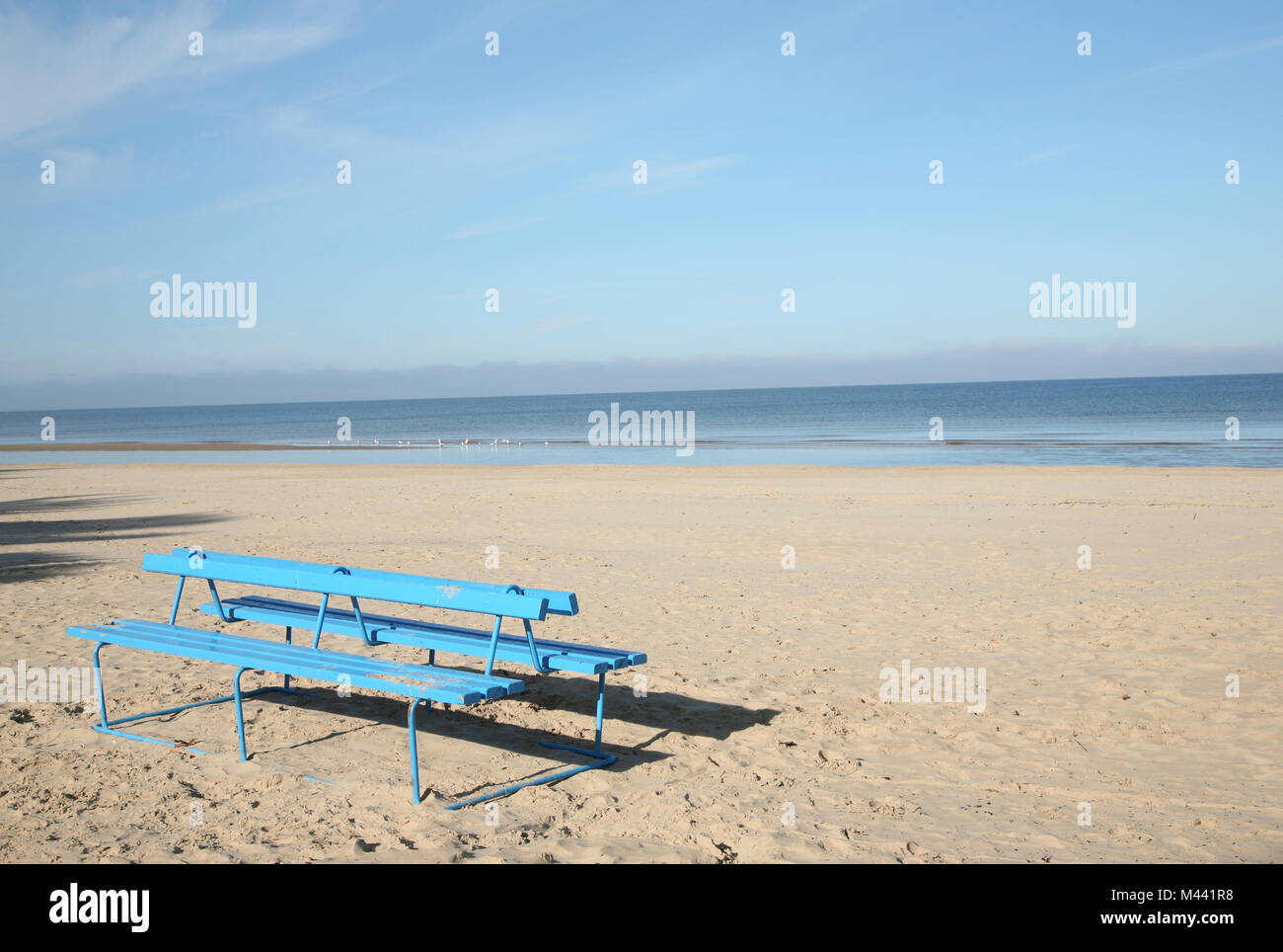 light blue bench on wild beach Stock Photo - Alamy