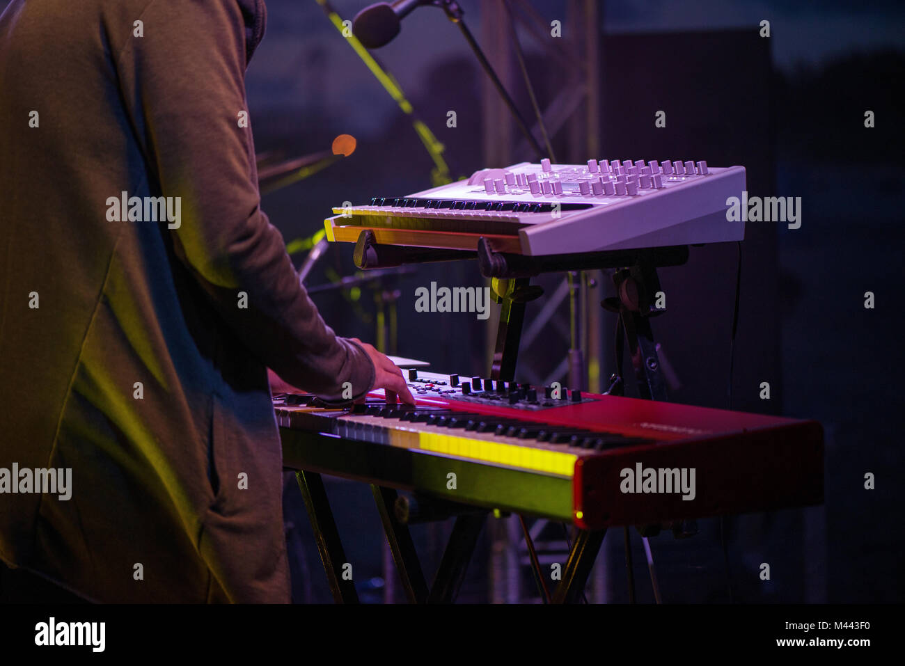 Male musician plays a musical instrument on the stage. Artist playing ...