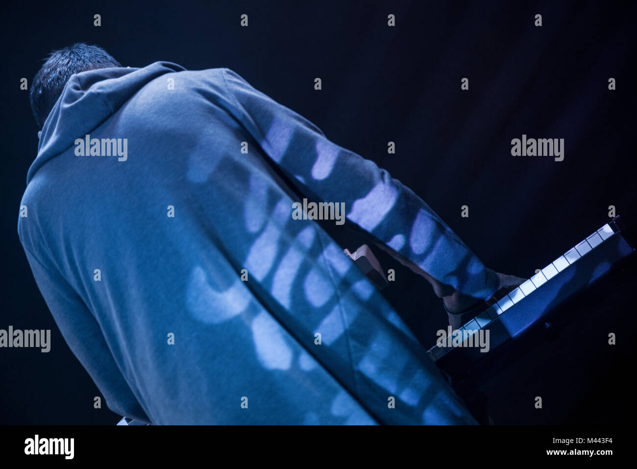 Male musician plays a musical instrument on the stage. Artist playing ...