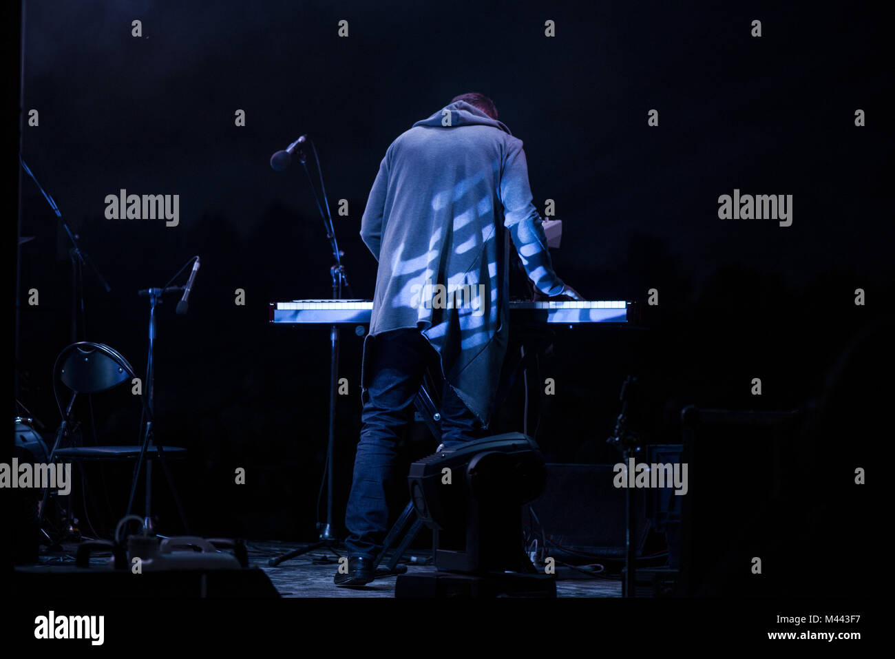 Male musician plays a musical instrument on the stage. Artist playing ...