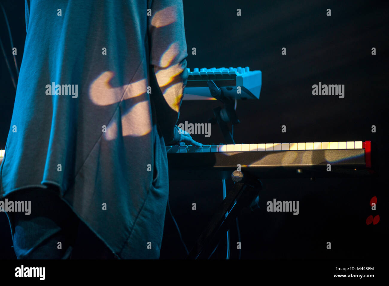Male musician plays a musical instrument on the stage. Artist playing ...