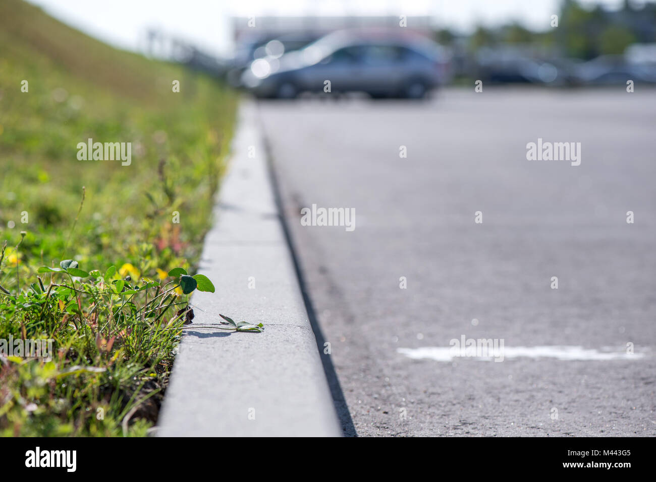 Grass growing out from concrete edge on side of a parking lot Stock ...