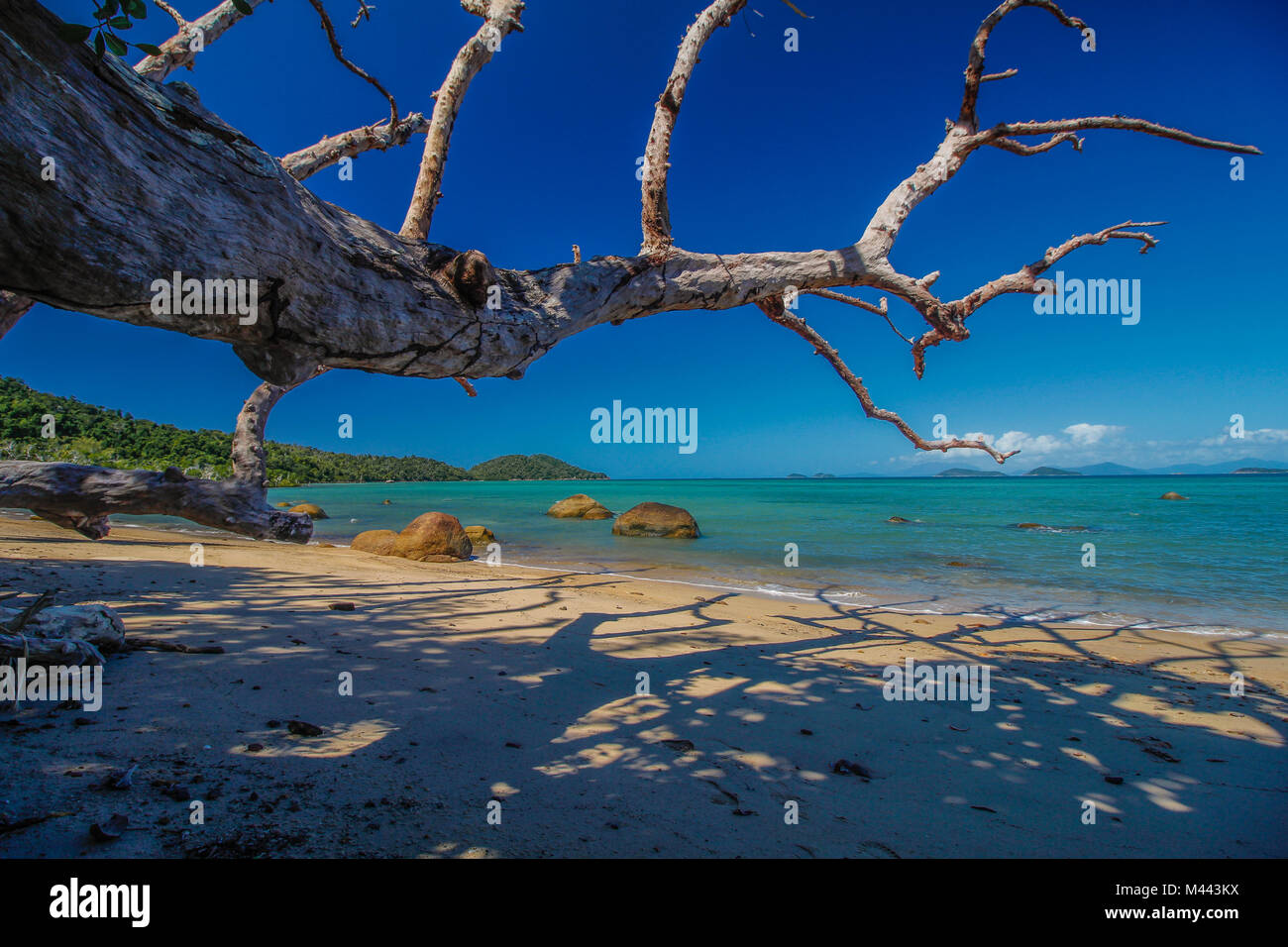 Dunk Island Paradise Stock Photo - Alamy