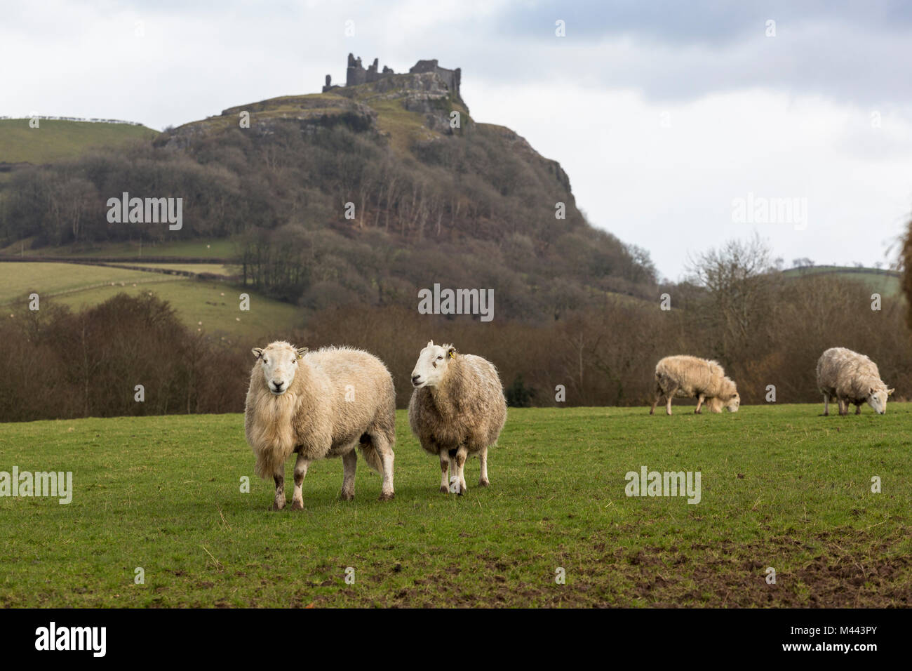 Medieval farming hi-res stock photography and images - Alamy