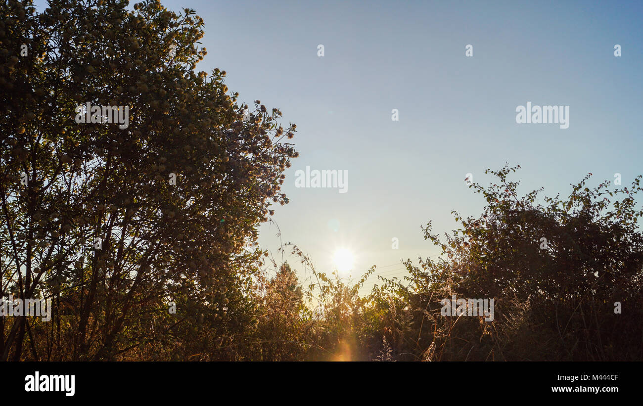 Winter sun light and scenic mist hi-res stock photography and images ...