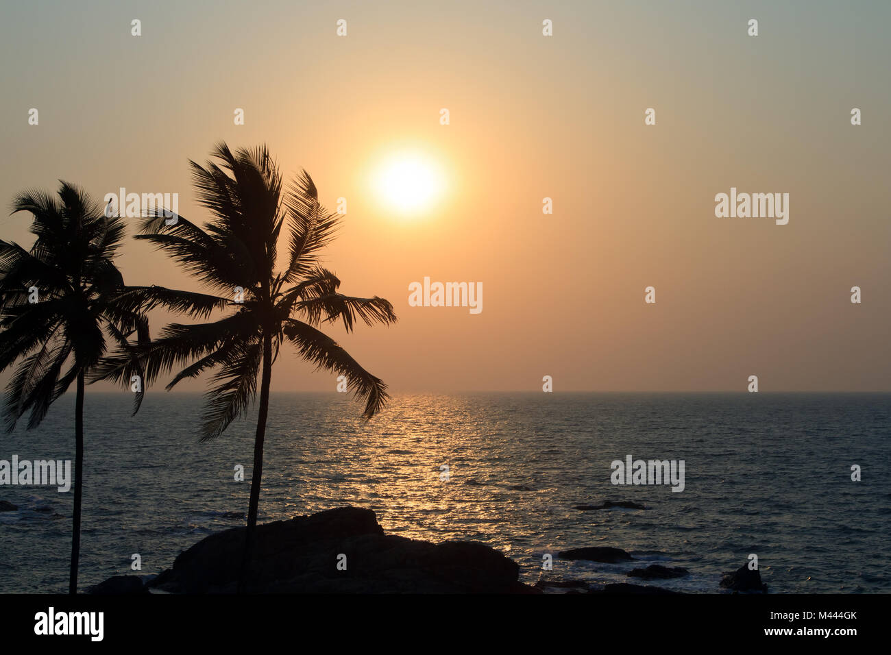 Palm Trees Silhouette At Sunset Stock Photo - Alamy