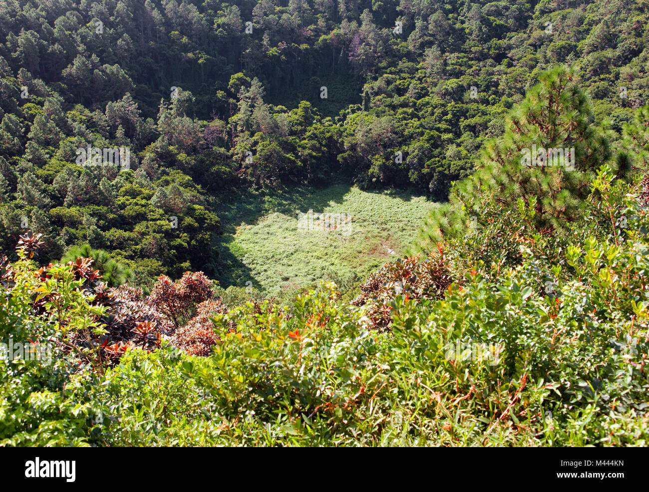 famous Mauritius tourist place- volcano crater Trou aux Cerfs Stock ...