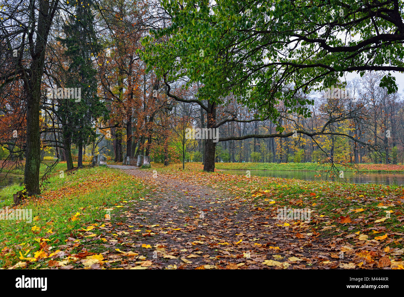 Autumn landscape in Catherine garden, Pushkin Stock Photo - Alamy