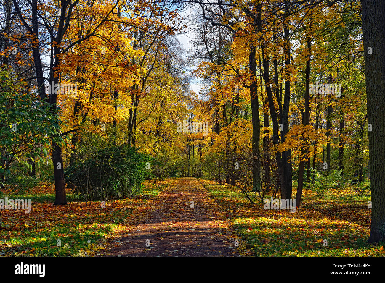 Autumn landscape in Catherine garden, Pushkin Stock Photo - Alamy