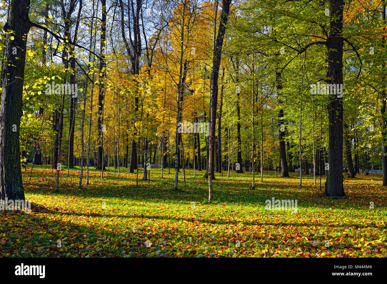 Autumn landscape in Catherine garden, Pushkin Stock Photo - Alamy