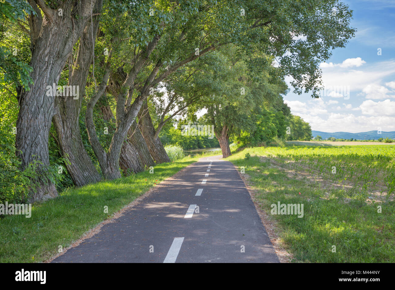 Bike green route hi-res stock photography and images - Alamy