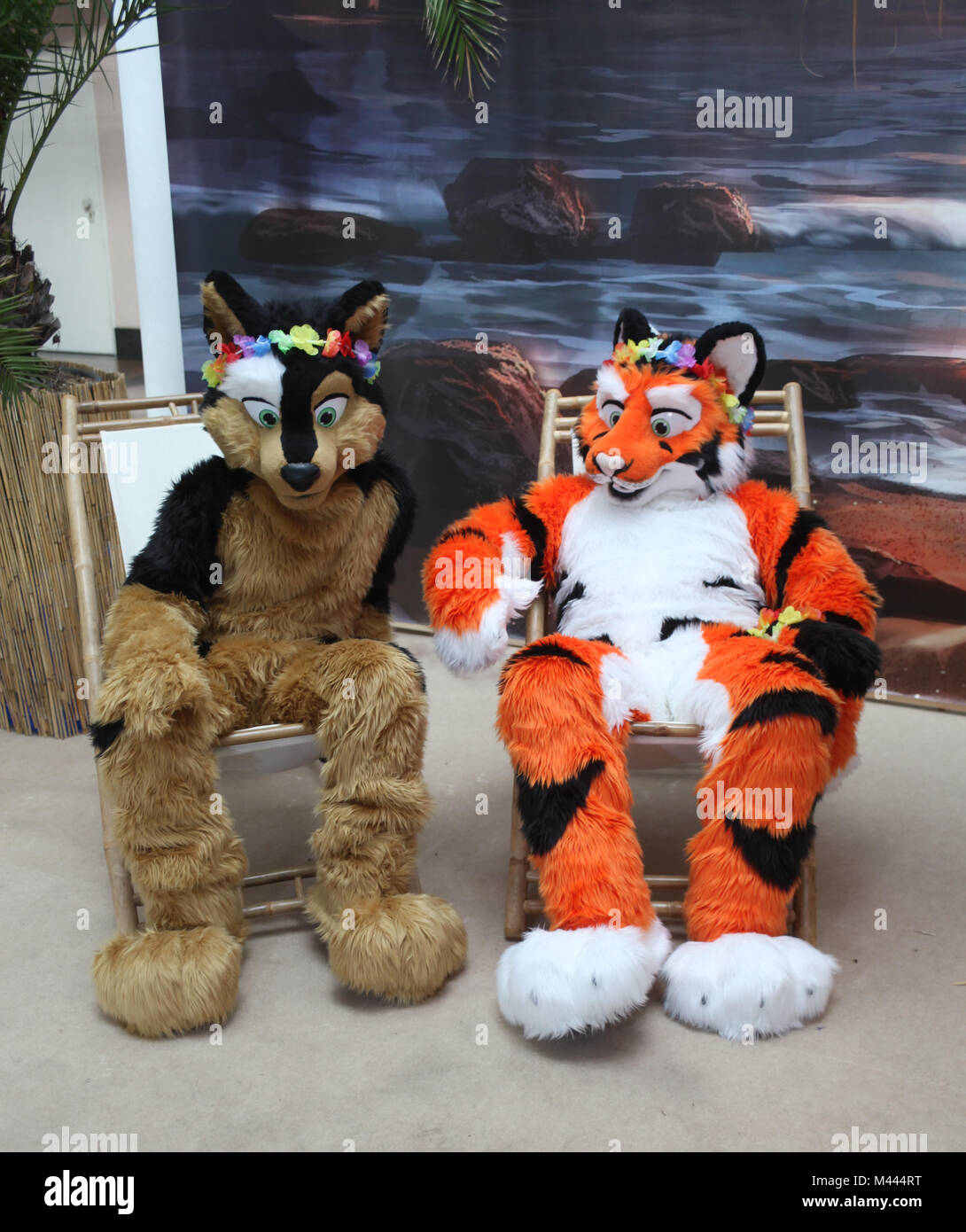 Furry treffen hi-res stock photography and images - Alamy