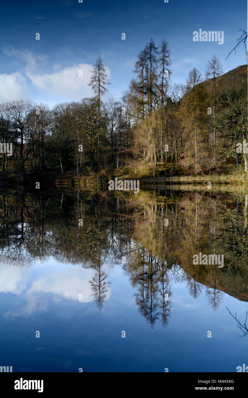 reflection in the lake Stock Photo - Alamy