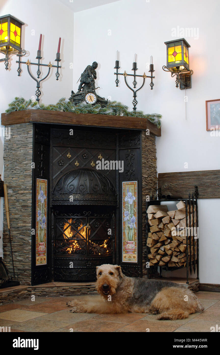 Brown dog fireplace hi-res stock photography and images - Alamy
