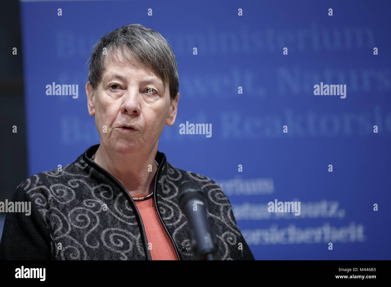 Press statement with German Minister of Environment Hendricks Stock ...