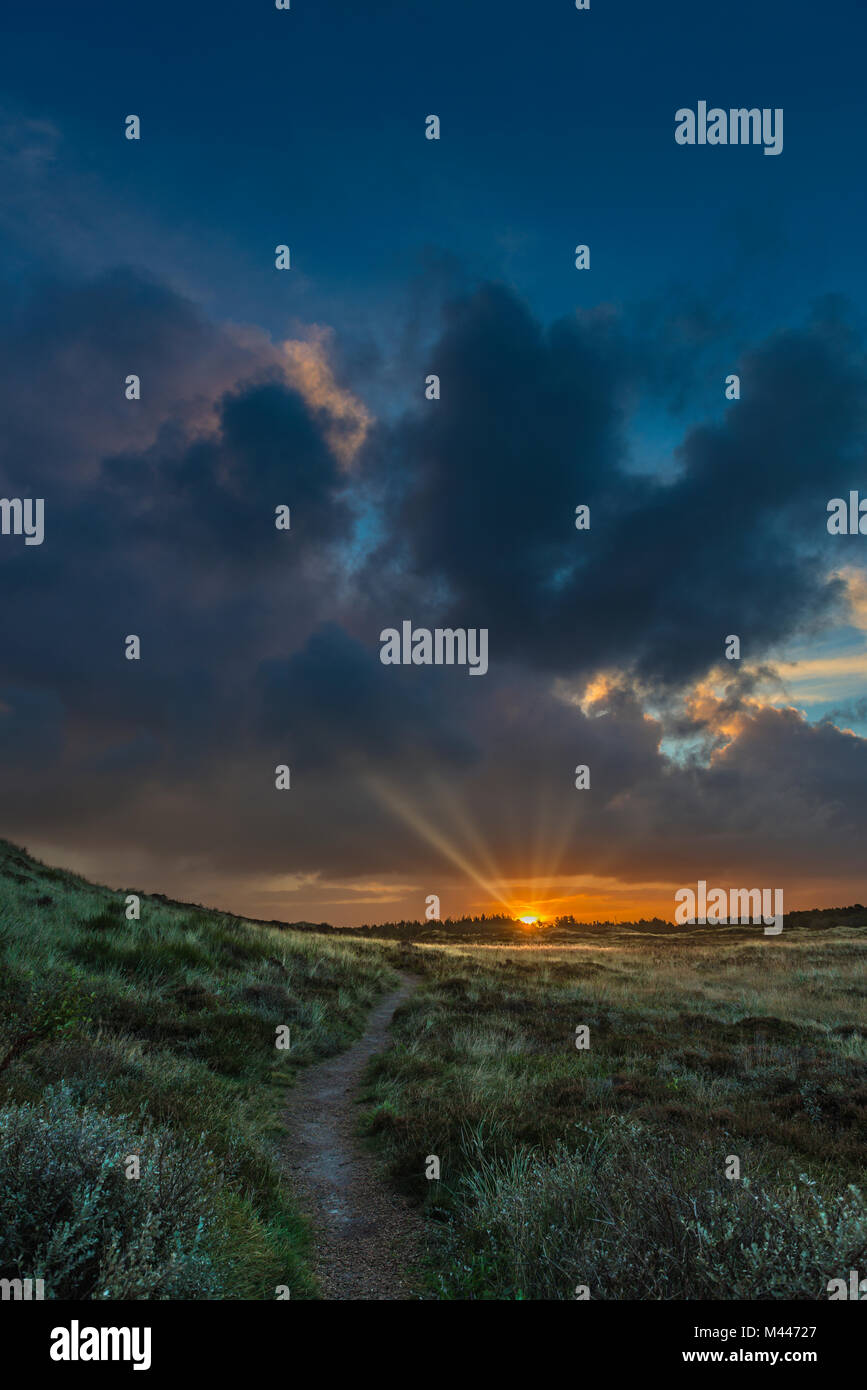 Danish heathland hi-res stock photography and images - Alamy