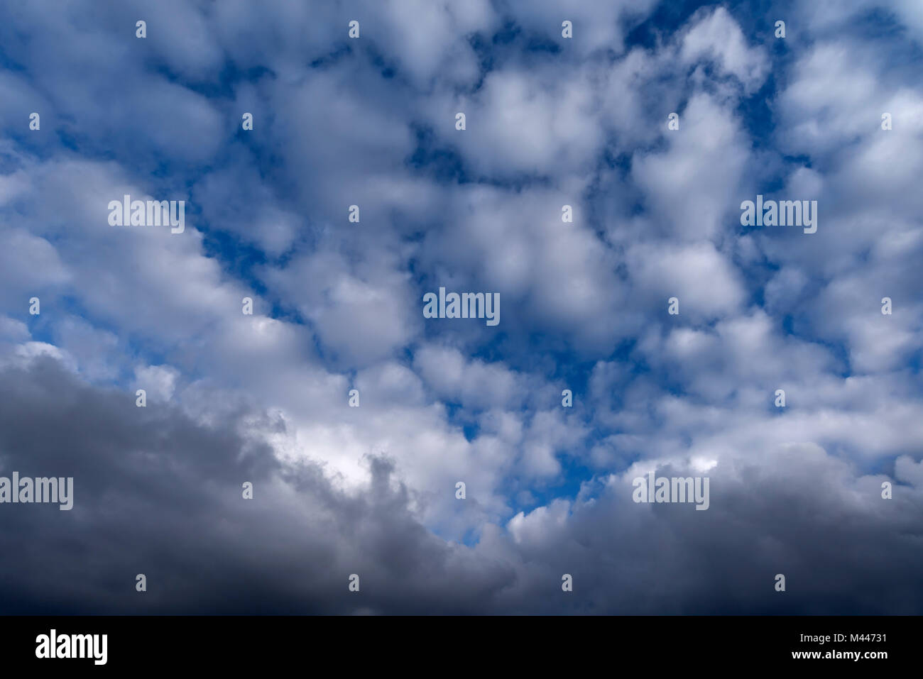 Cirrocumulus with rising rain clouds (Nimbostratus),Bavaria,Germany ...