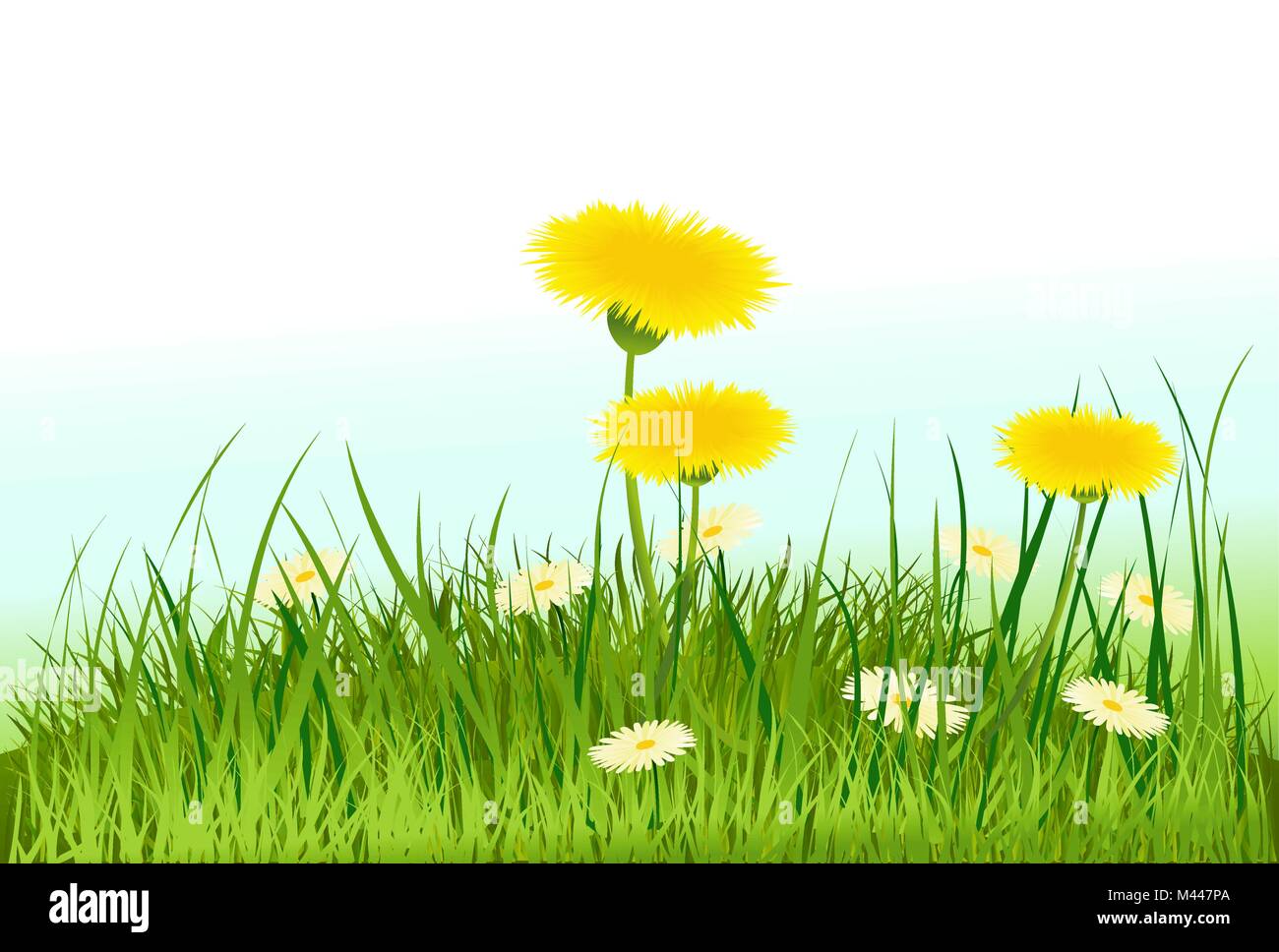 Beautiful dandelion flowers in meadow Stock Vector Images - Alamy