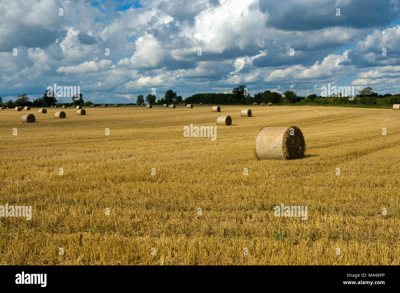 Rows rural hi-res stock photography and images - Alamy