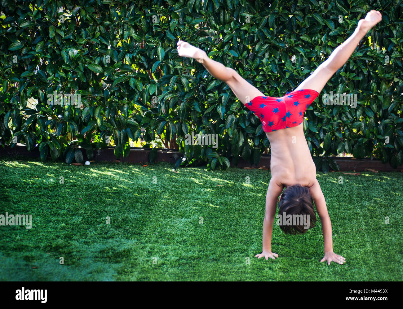 Boy doing handstand on grass Stock Photo - Alamy