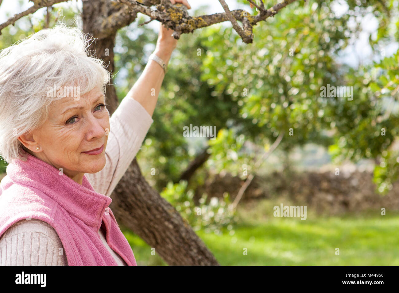 Portrait of senior woman in garden, holding tree branch Stock Photo - Alamy
