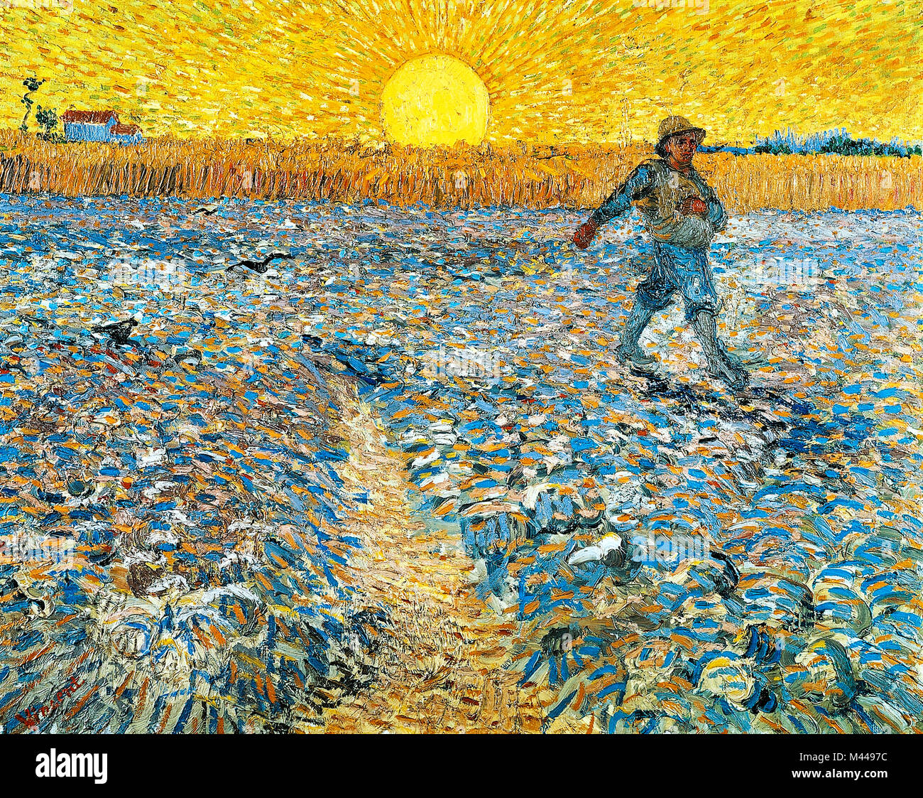 The Sower, 1888, by Van Gogh Stock Photo - Alamy
