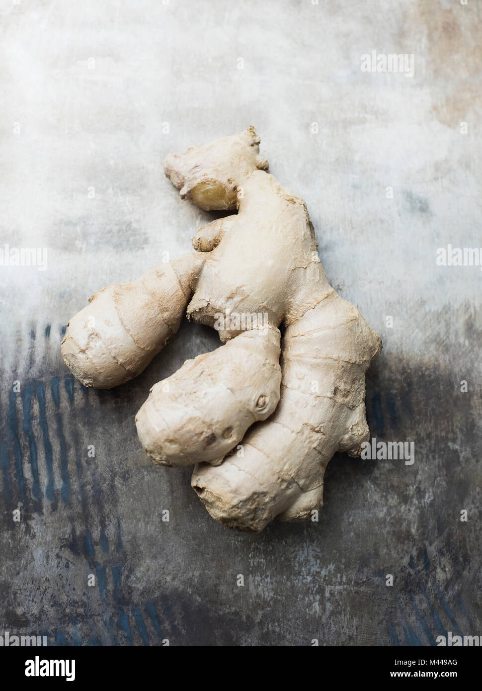 Root studios hi-res stock photography and images - Alamy