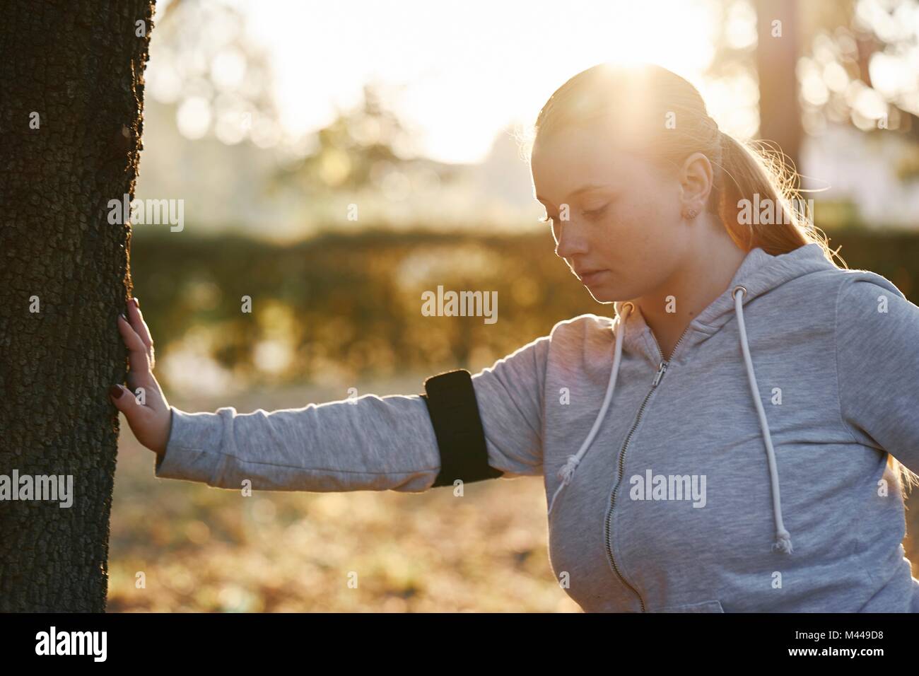 Curvaceous tree High Resolution Stock Photography and Images - Alamy