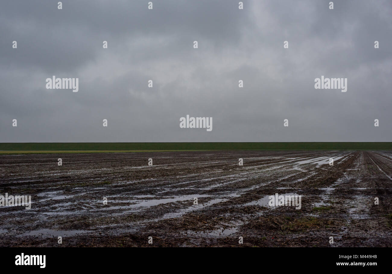 Soaking wet hi-res stock photography and images - Alamy