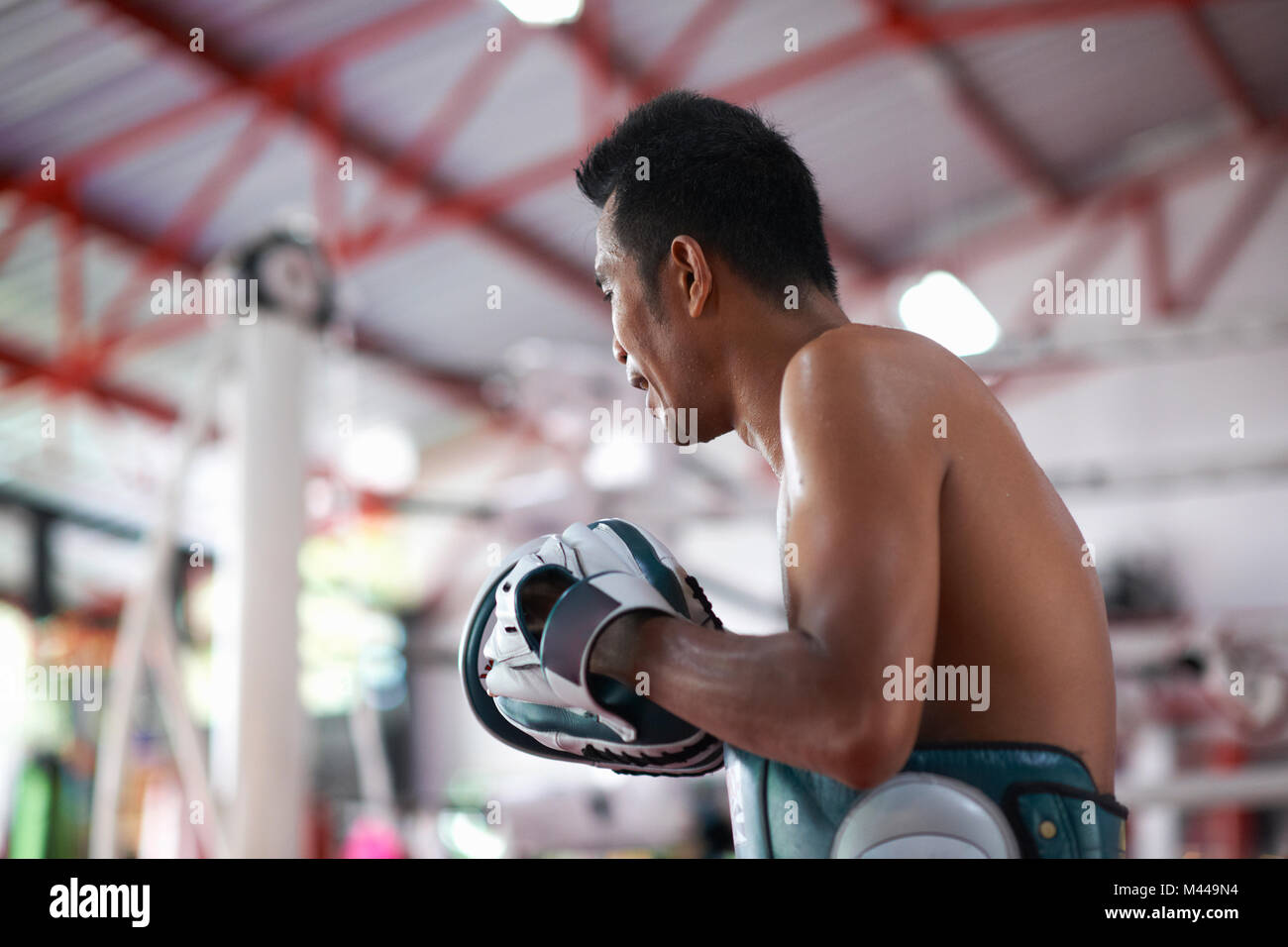 Male gym training hi-res stock photography and images - Alamy