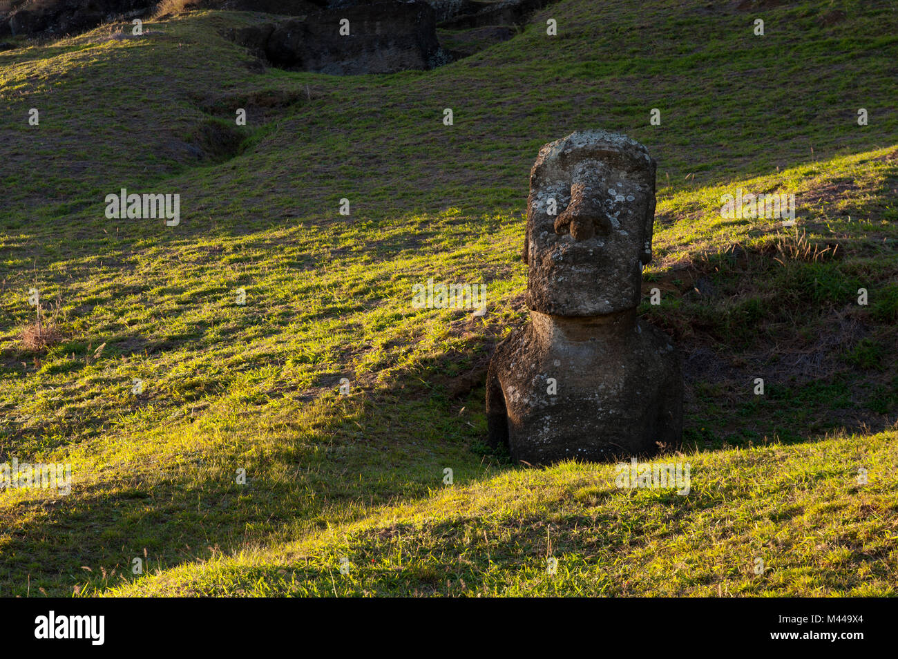 Rano Raraku moai statue on Easter Island Stock Photo - Alamy