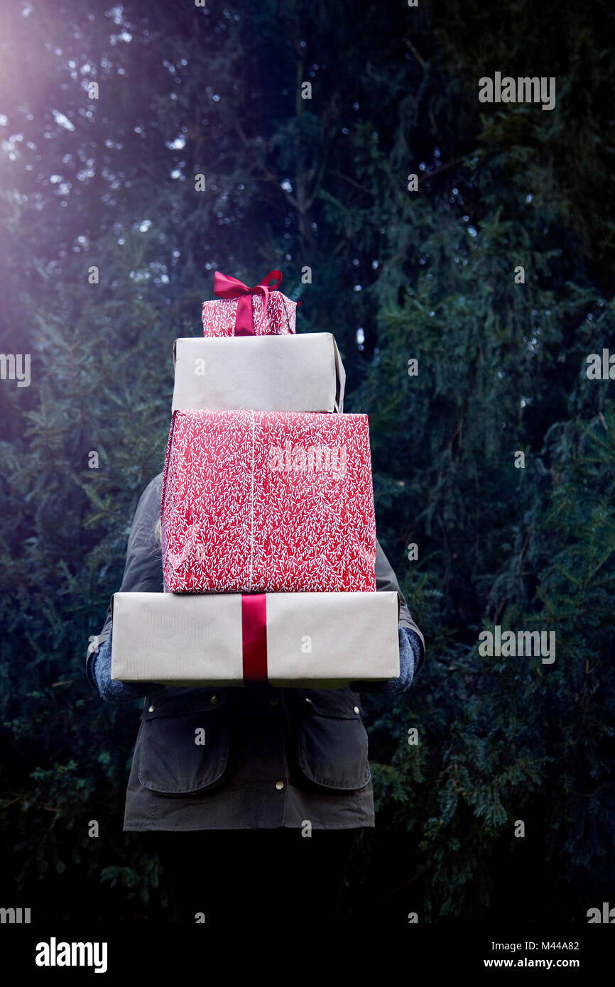 Woman carrying stack of Christmas presents, fir tree in background ...
