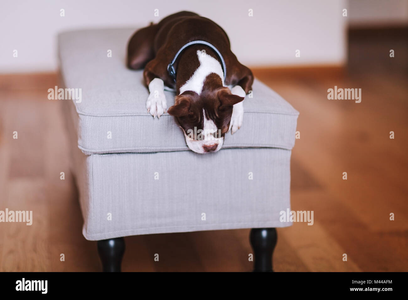 Foot stool hi-res stock photography and images - Alamy