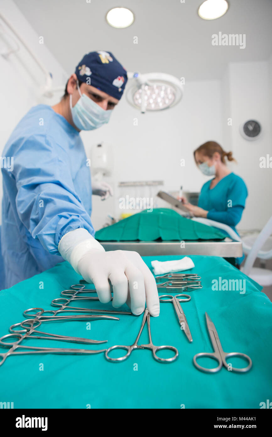 Vets performing operation in surgery Stock Photo - Alamy