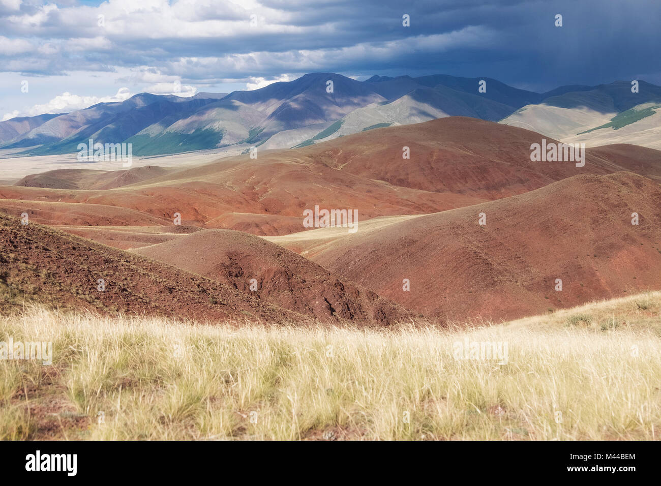 Alpine steppe in Central Asia, Mongolia Stock Photo - Alamy