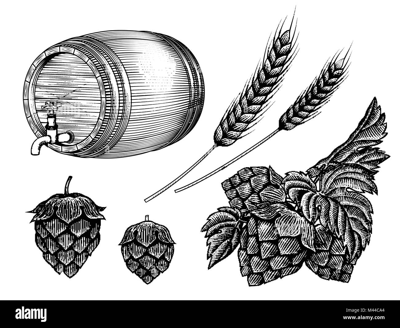 Beer ingredients set, barrel, wheat ears and hops in etching shading ...