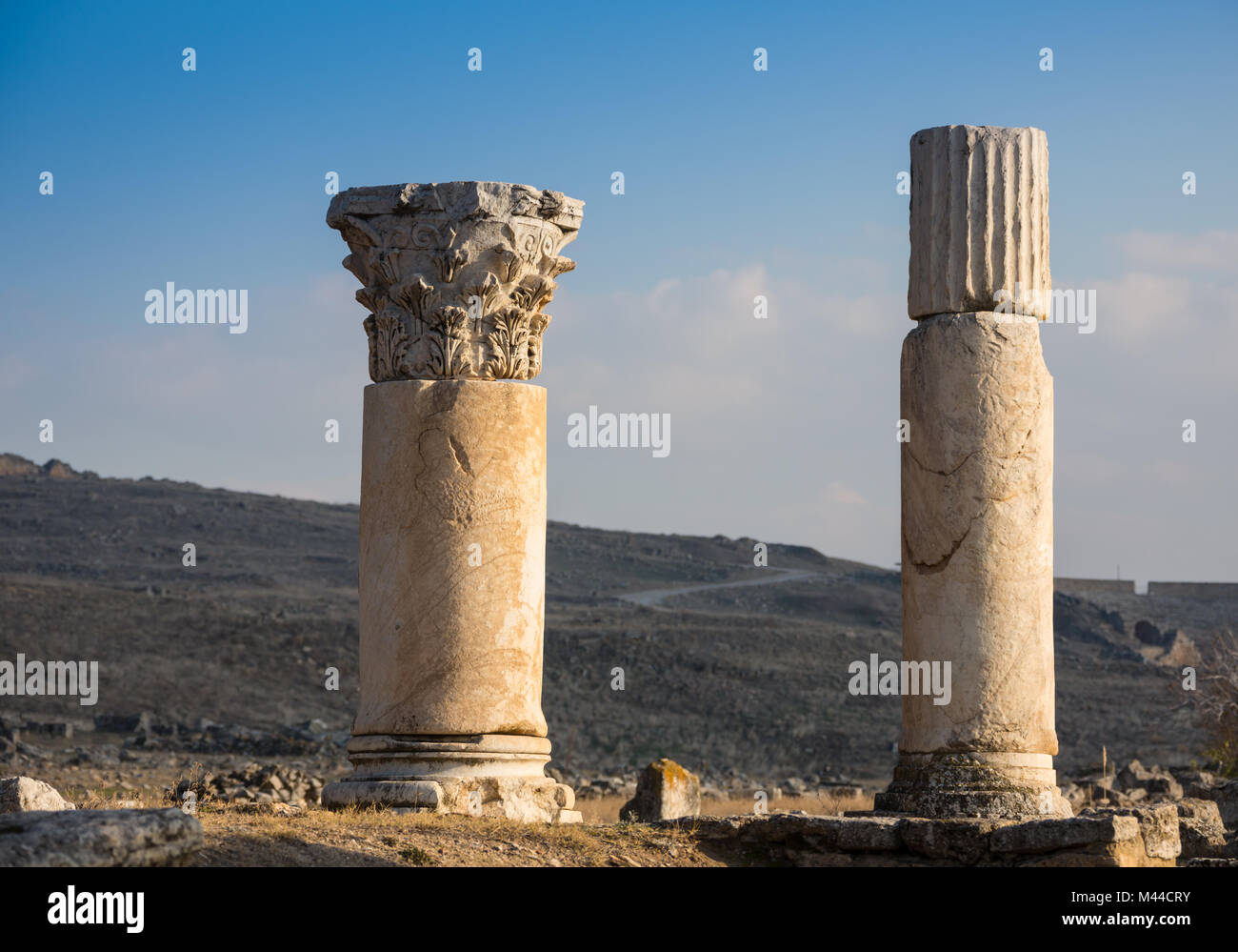 Ionic order, column in ancient Olympia Stock Photo - Alamy