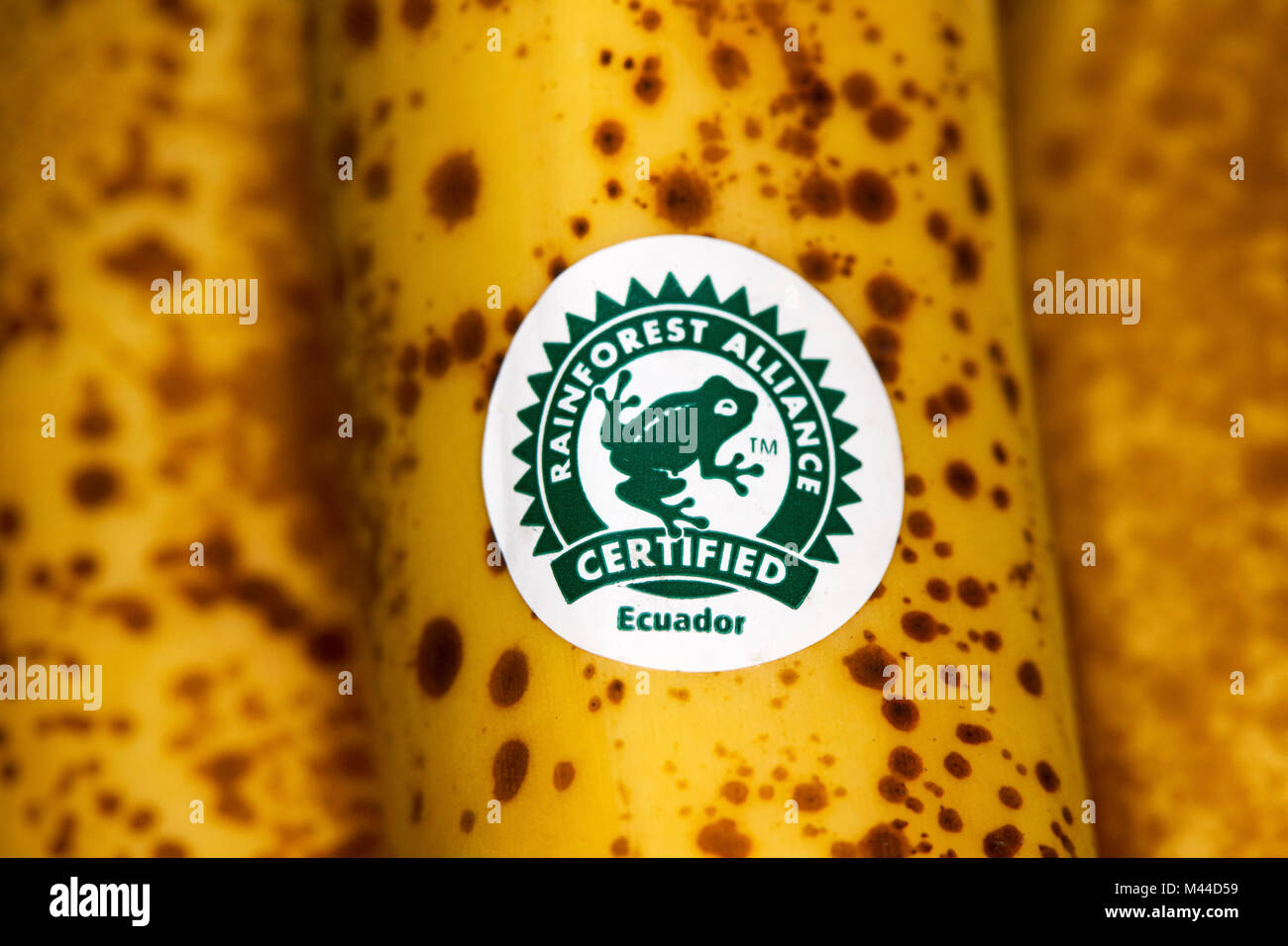 Rainforest alliance certified hi-res stock photography and images - Alamy