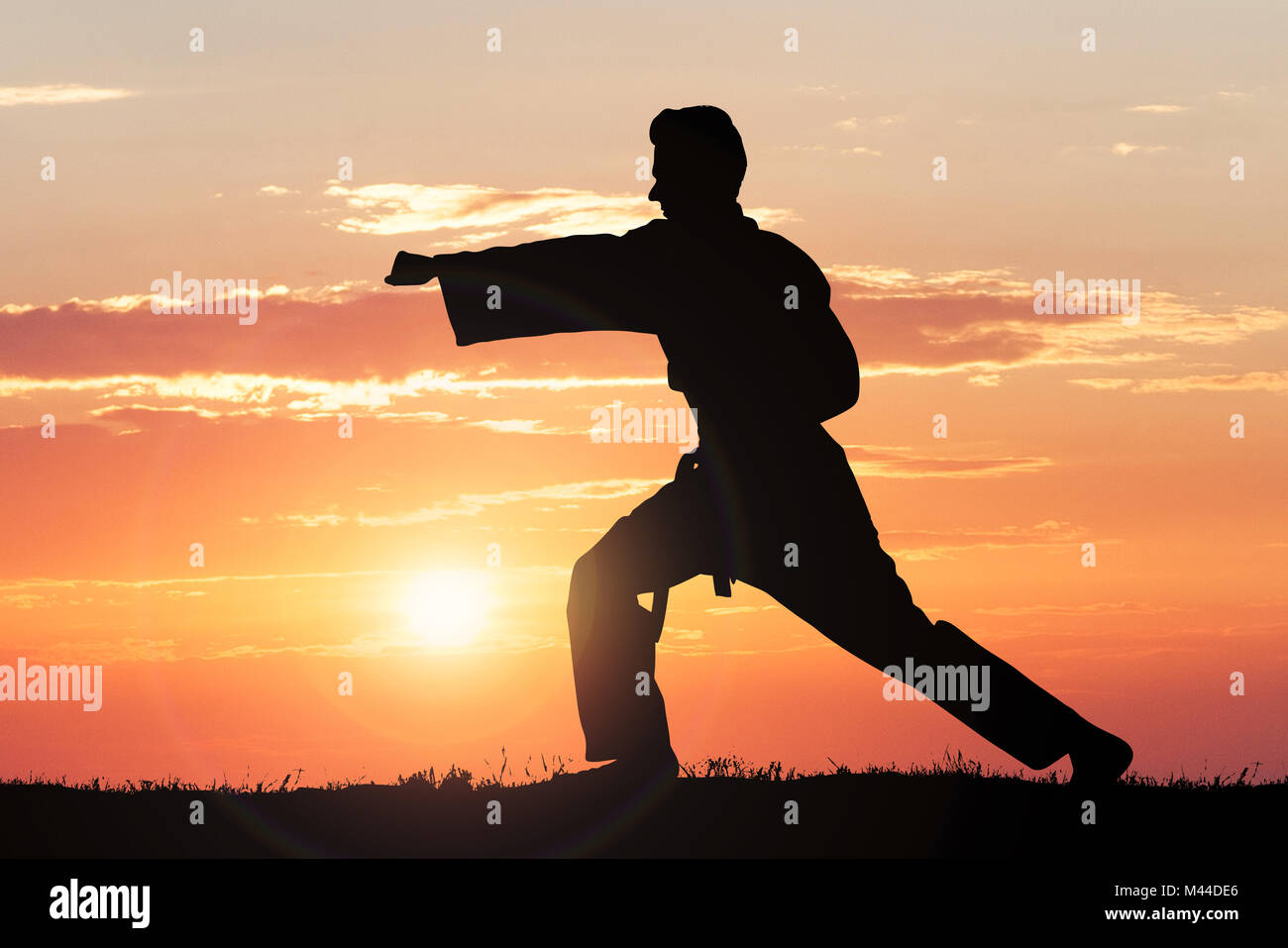 Karate silhouette hi-res stock photography and images - Alamy