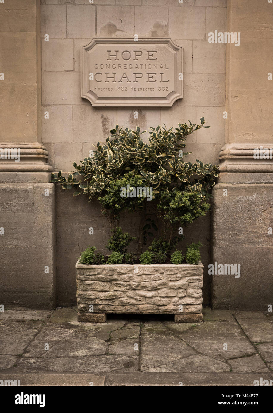 Plant in front of Hope Congregational Chapel Stock Photo - Alamy