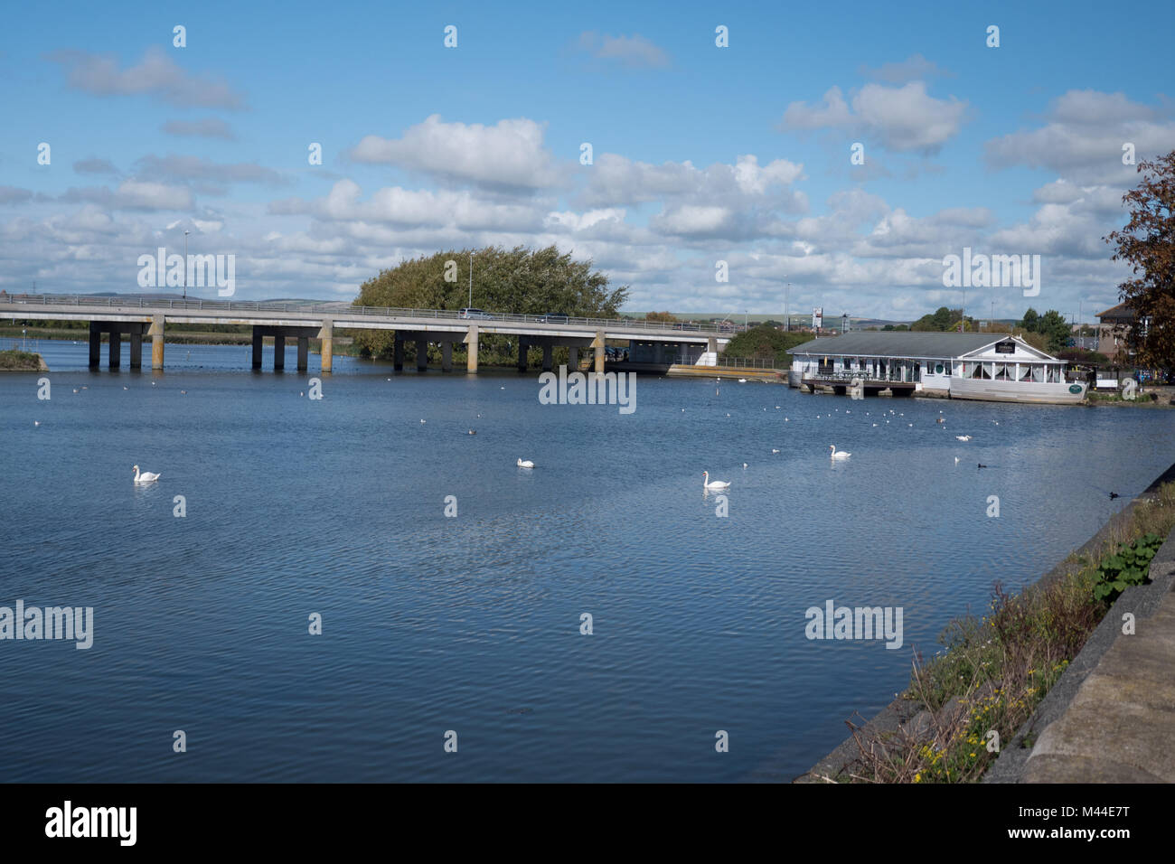 Radipole nature reserve hi-res stock photography and images - Alamy
