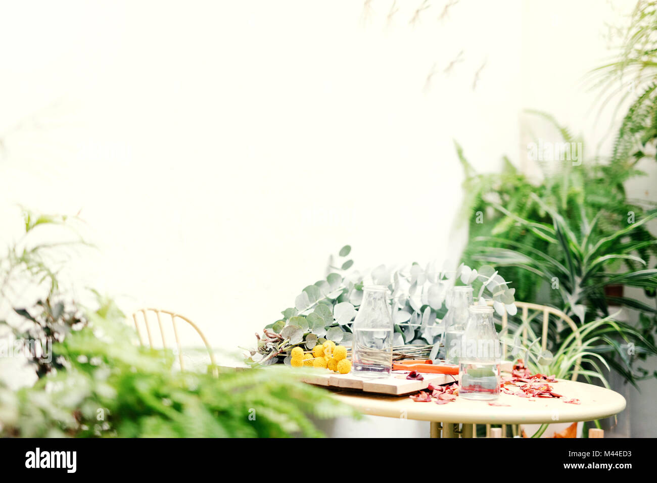 From above view of plants in pots Stock Photo - Alamy