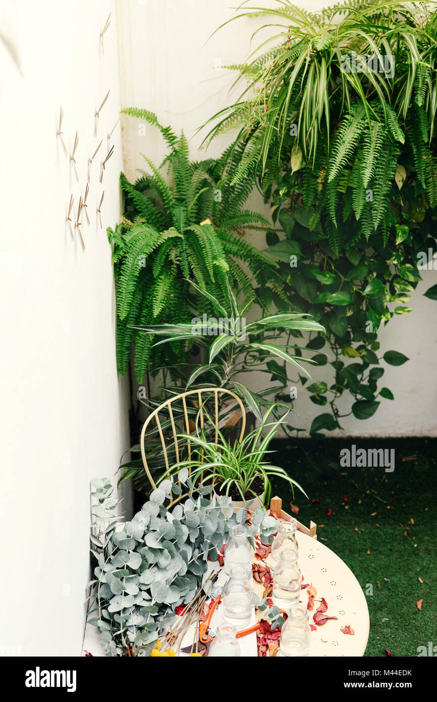 From above view of plants in pots Stock Photo - Alamy