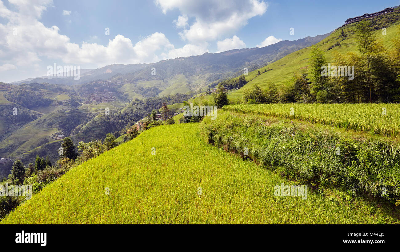 Longji Rice terraces (Dragons Backbone) in Longsheng County, China ...
