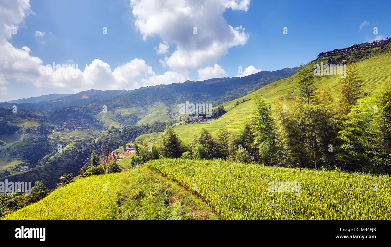 Longji Rice terraces (Dragons Backbone) in Longsheng County, China ...