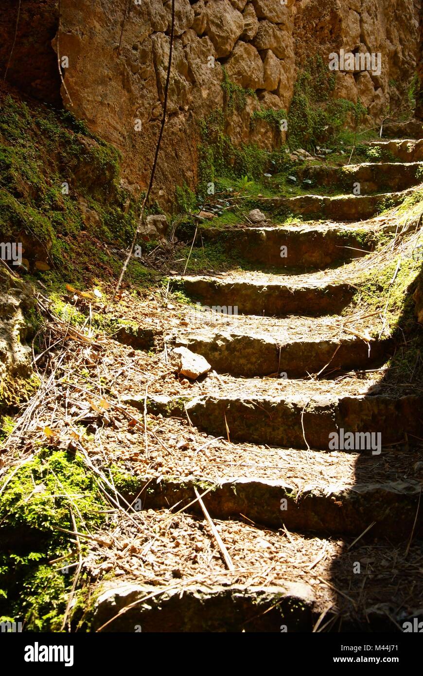 stairway into a cave Stock Photo - Alamy