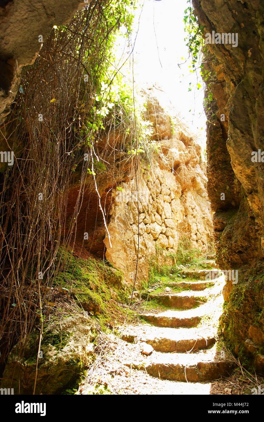 stairway into a cave Stock Photo - Alamy