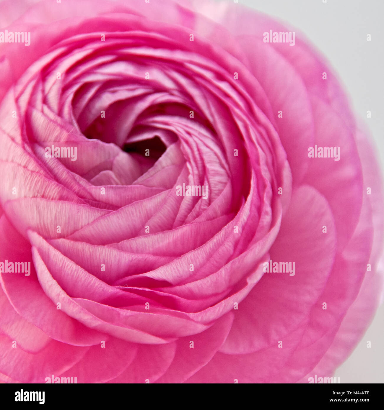 Quadratisch hi-res stock photography and images - Alamy