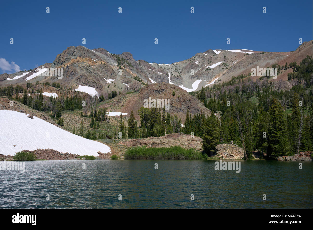 Bog lake hi-res stock photography and images - Alamy